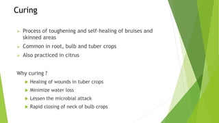 Session 18. Curing.pptx