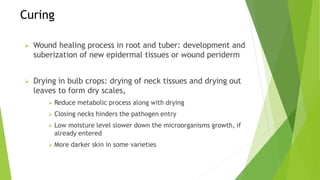 Session 18. Curing.pptx