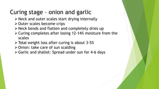 Session 18. Curing.pptx