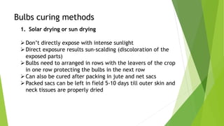 Session 18. Curing.pptx