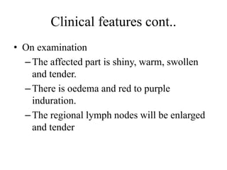 SESSION 19 - Cellulitis.pptx