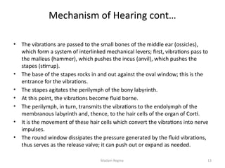 Structure and Functions of the human Ear | PPTX