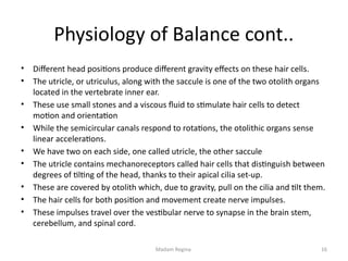 Structure and Functions of the human Ear | PPTX