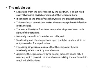 Structure and Functions of the human Ear | PPTX