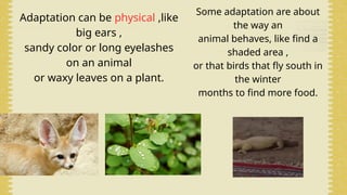 Understanding Adaptations: How Animals and Plants Survive in Their ...