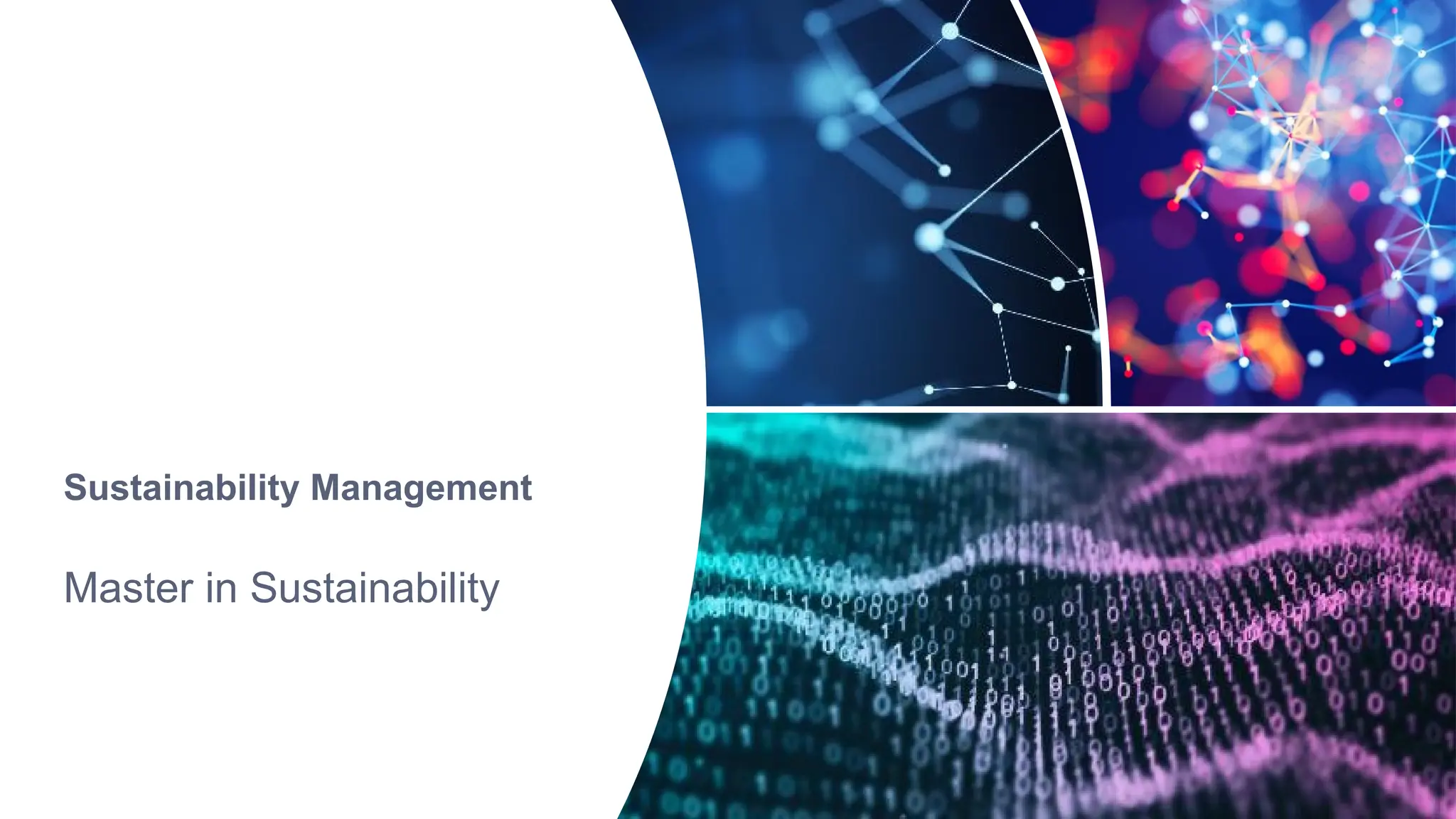 Sustainability Management - Introduction to Sustainability and History ...