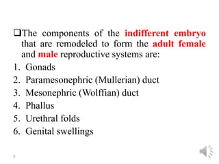 Reproductive system lecture 2 | PPTX