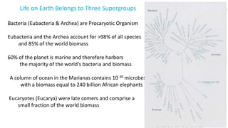 Session 1 Lecture 1.pdf