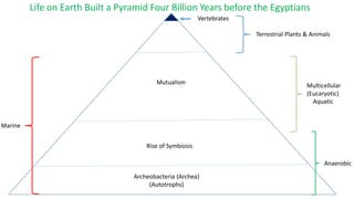 Session 1 Lecture 1.pdf