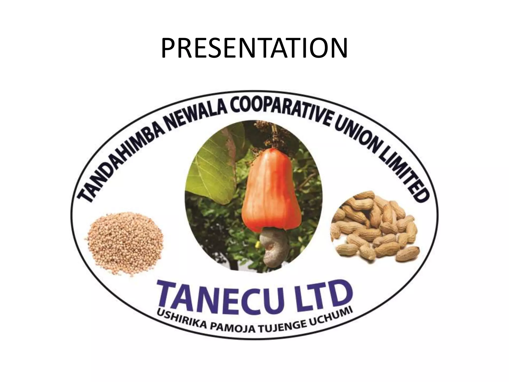 Tanecu cashew nut value chain | PPTX