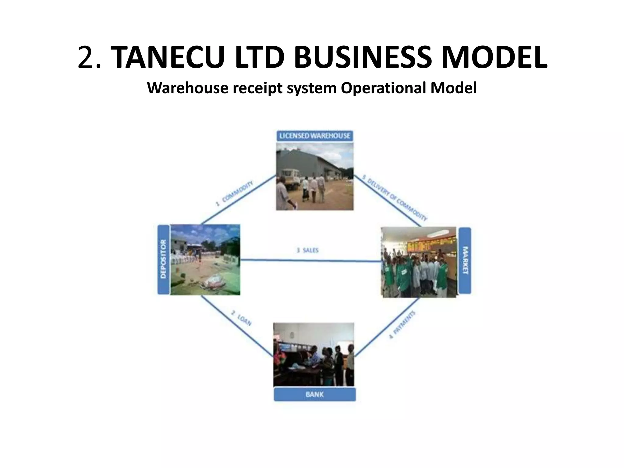Tanecu cashew nut value chain | PPTX