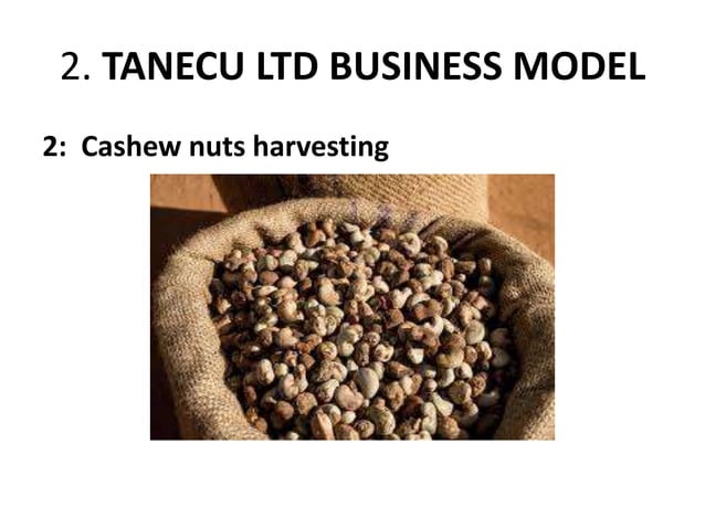 Tanecu cashew nut value chain | PPTX