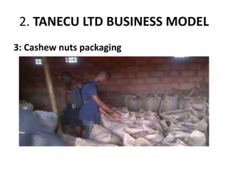 Tanecu cashew nut value chain | PPTX