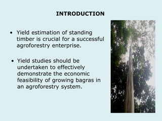 Session 2.1 yield, carbon density & climate change bagras | PPT