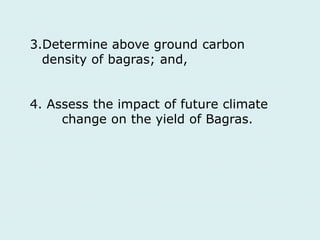 Session 2.1 yield, carbon density & climate change bagras | PPT