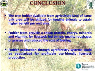 Session 2.3 fodder production thro agrofrestry | PPT