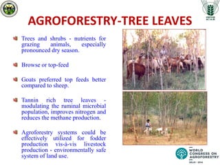 Session 2.3 fodder production thro agrofrestry | PPT