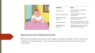 Health Determinate - introduction to obtimize health care | PPTX