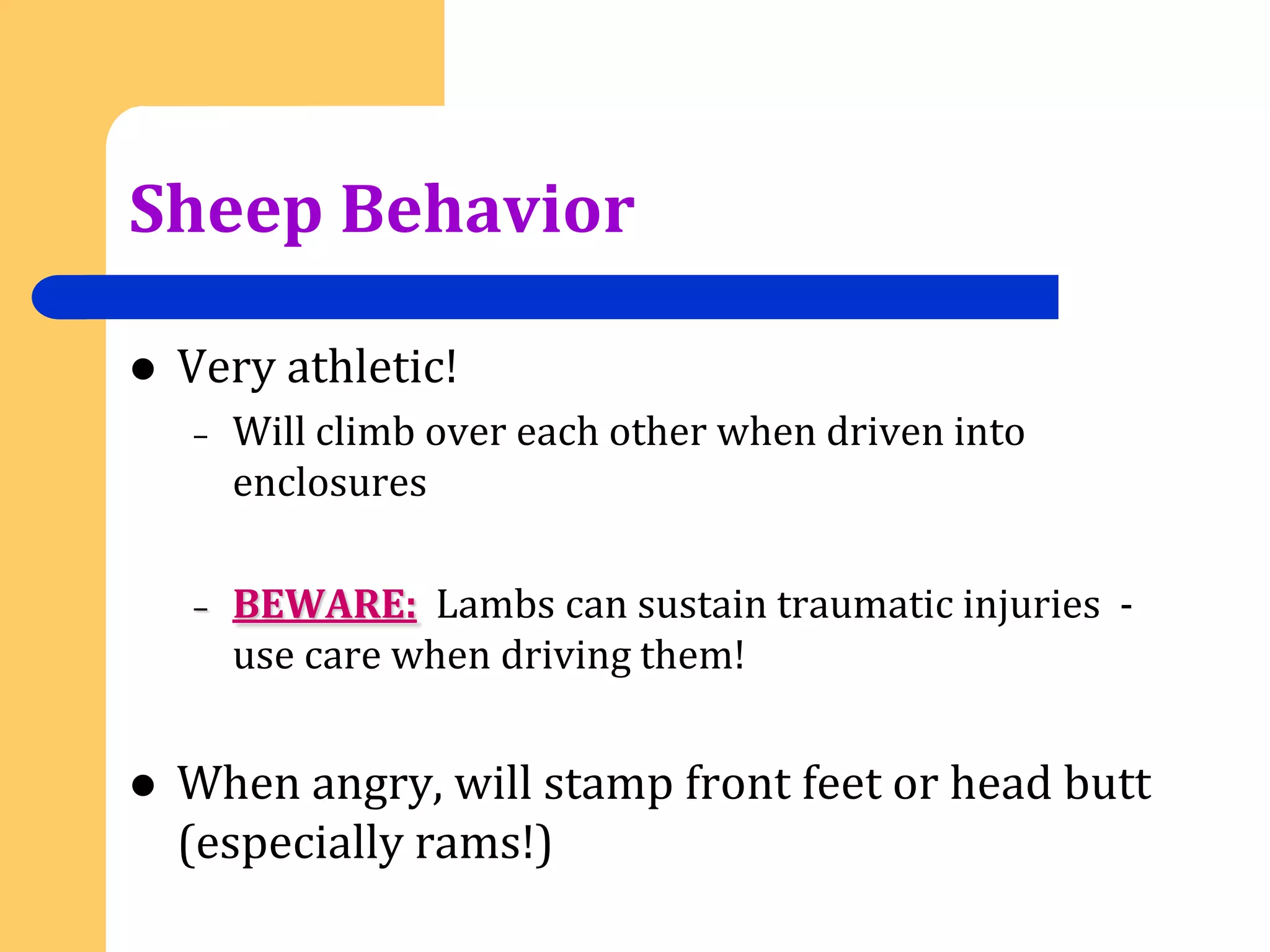 Session 2 Restraint Principles Sheep | PDF