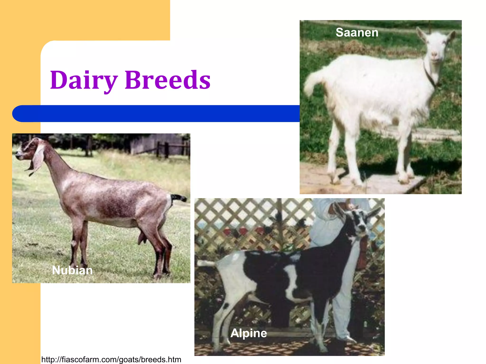 Session 2 Restraint Principles Sheep | PDF