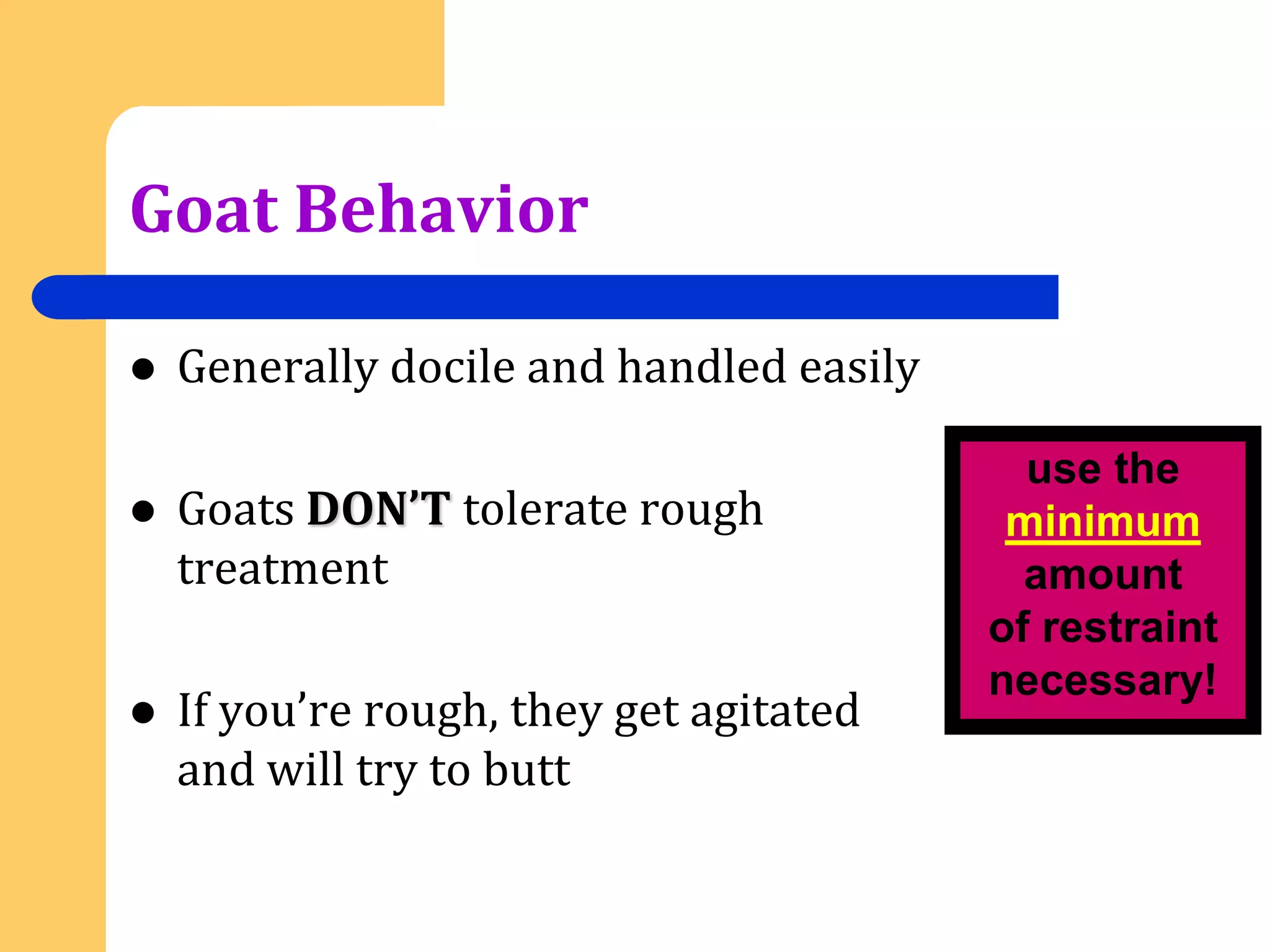 Session 2 Restraint Principles Sheep | PDF