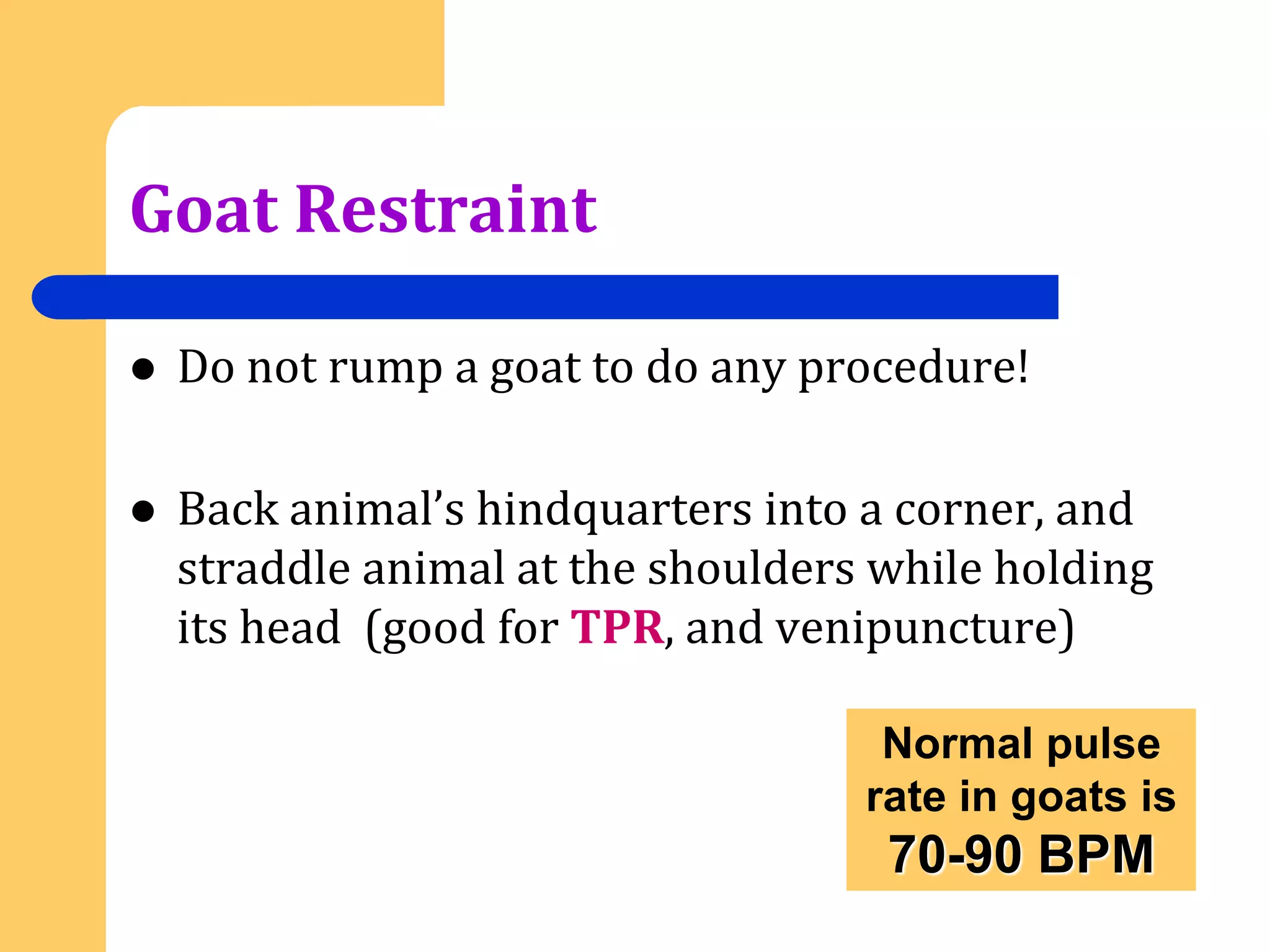 Session 2 Restraint Principles Sheep | PDF