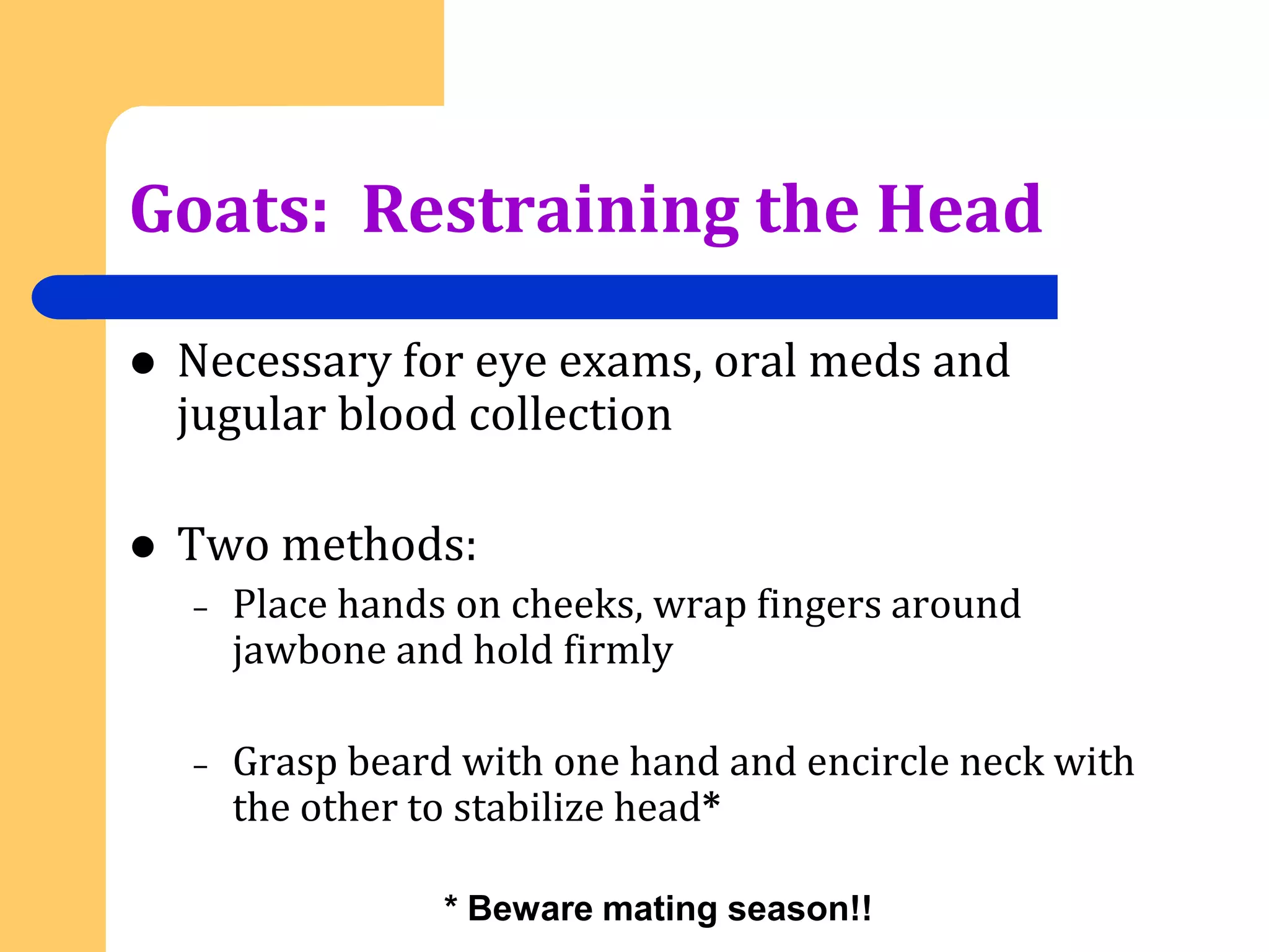 Session 2 Restraint Principles Sheep | PDF