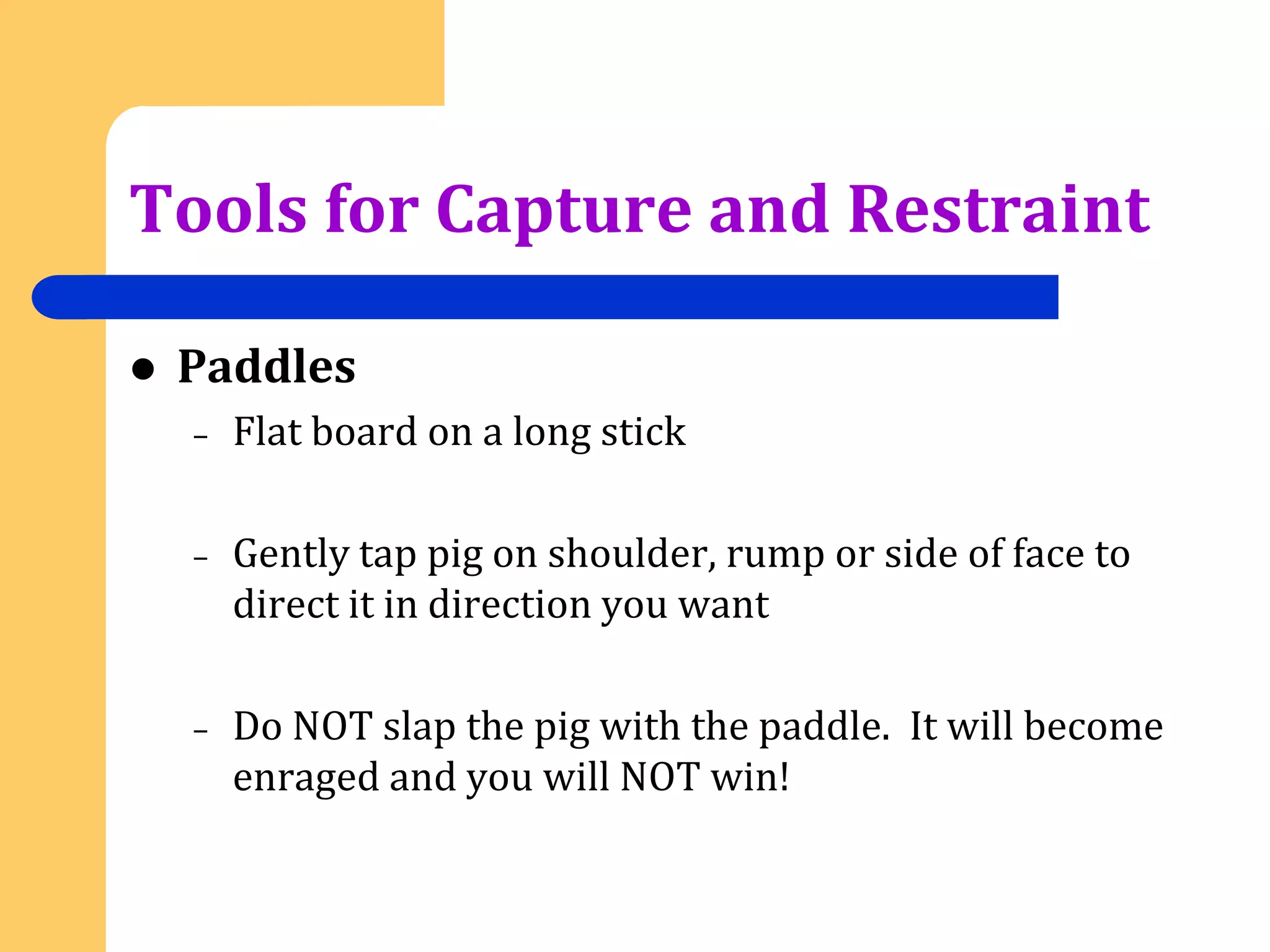 Session 2 Restraint Principles Sheep | PDF