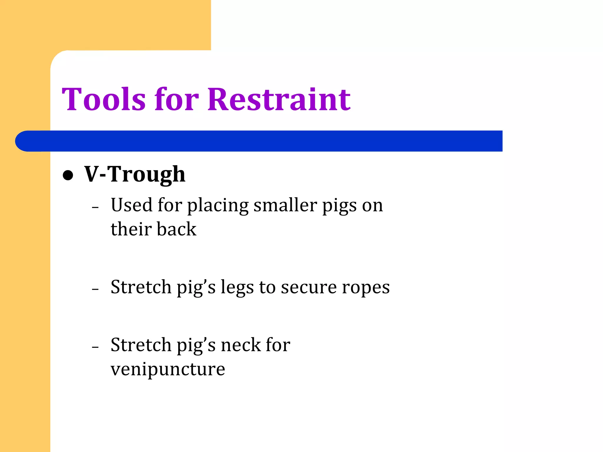 Session 2 Restraint Principles Sheep | PDF