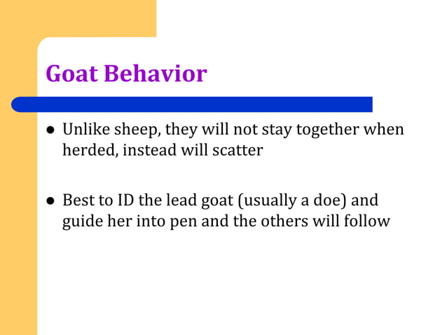 Session 2 Restraint Principles Sheep | PDF