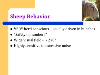 Session 2 Restraint Principles Sheep | PDF