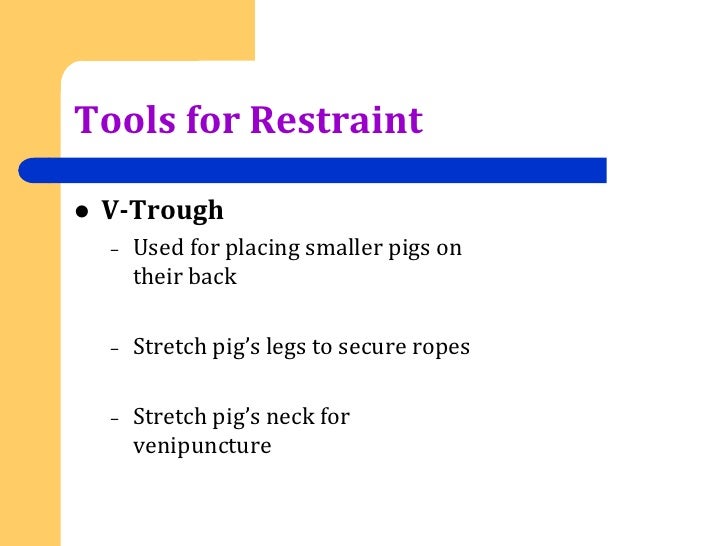 Session 2 Restraint Principles Sheep