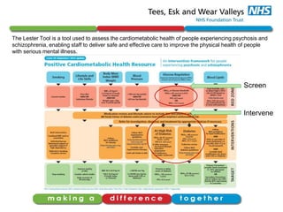 Physical Health Action at Last! | PPTX