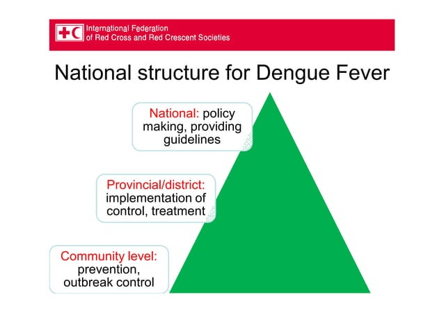 Session 20 - IFRC/Thuan Nguyen - health risk management research | PDF