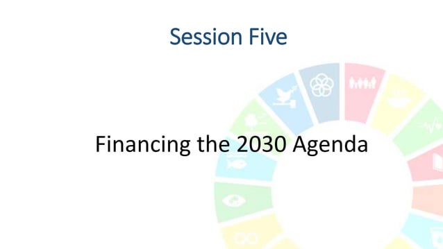 Financing The 2030 Agenda Ppt