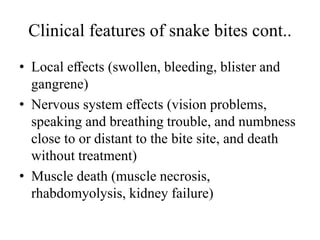 SESSION 22 - Animal Bites.pptx