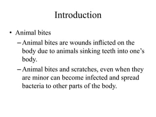 SESSION 22 - Animal Bites.pptx
