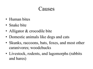 SESSION 22 - Animal Bites.pptx
