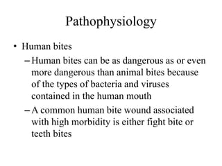 SESSION 22 - Animal Bites.pptx
