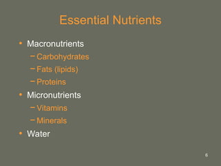 Basics of Nutrition need in human body in | PPT
