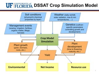 Cassava model in DSSAT to support scheduled planting and high starch ...
