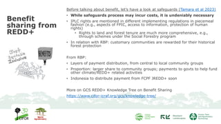 Global Comparative Study on REDD+: Inputs for ASEAN region | PDF