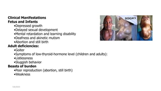 session 2 Micronutrient.pptx