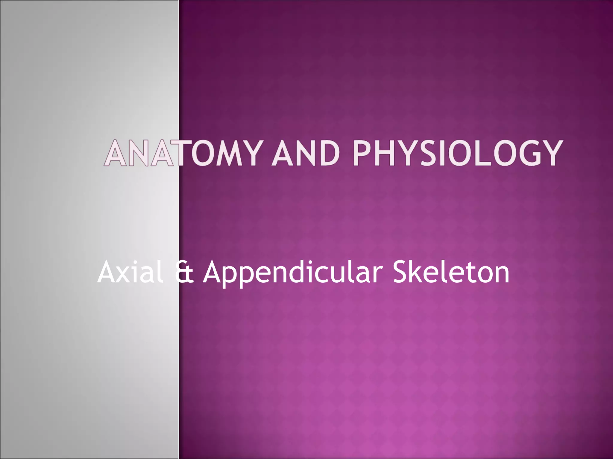 Session 2 skeletal system | PPT