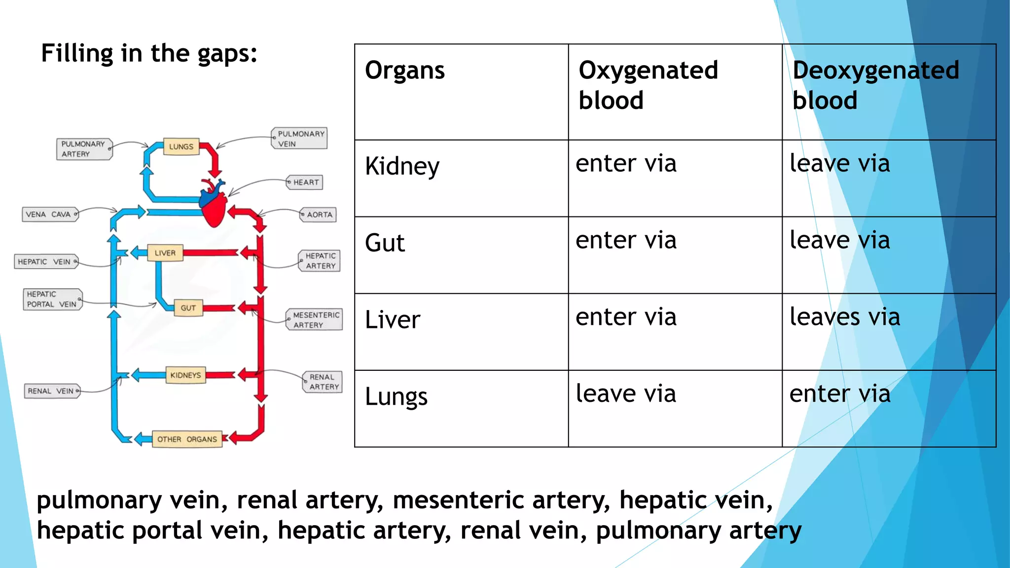 Session 2 slides.pptx
