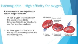 Session 2 slides.pptx