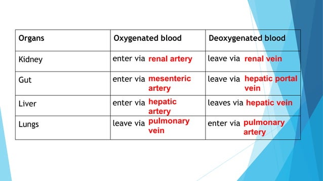 Session 2 slides.pptx