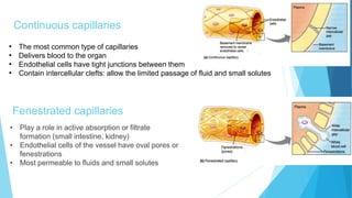 Session 2 slides.pptx