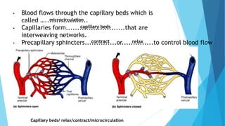 Session 2 slides.pptx