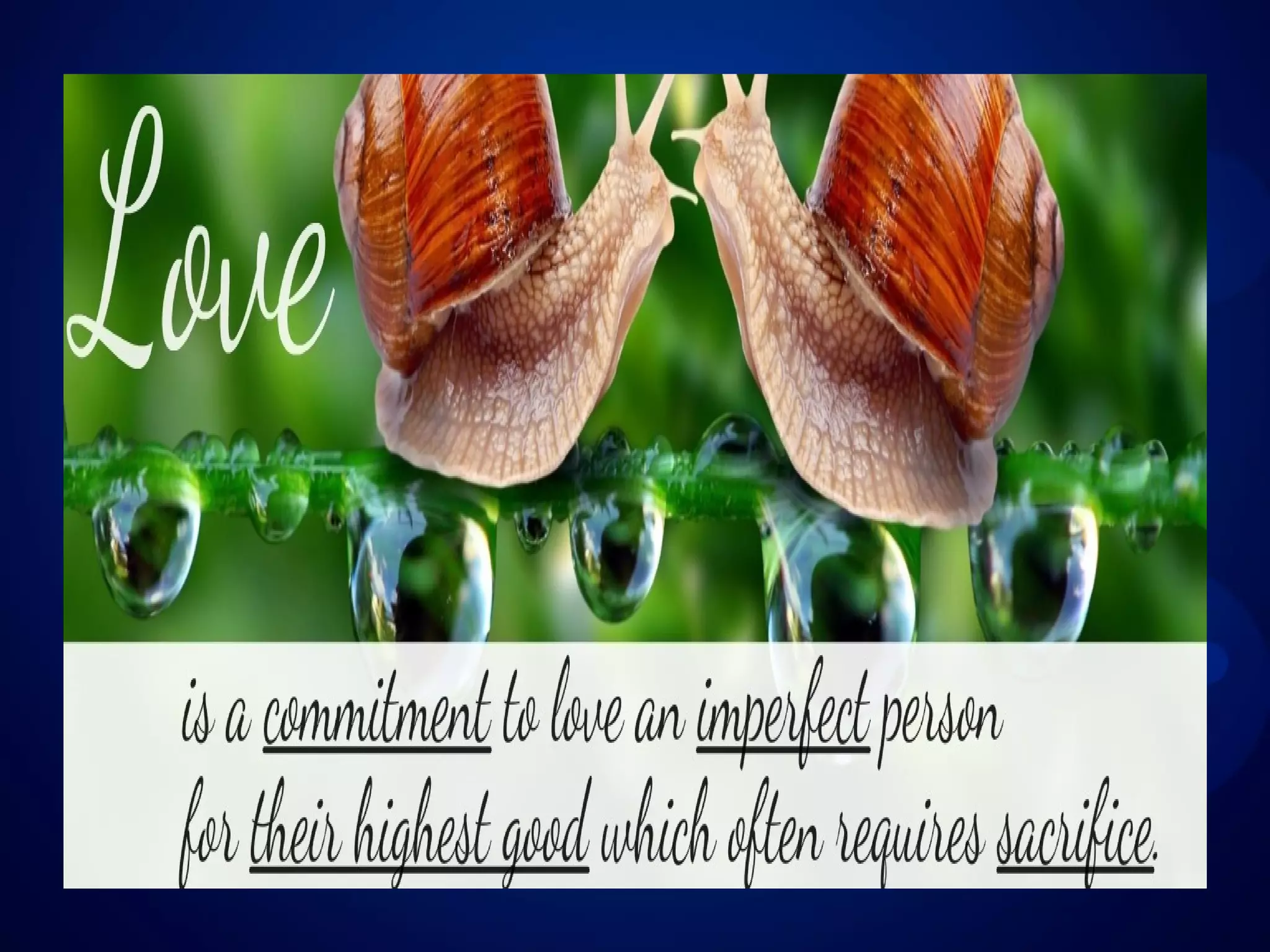 CCF GLC 1 Book 1_Session _One Proof - New life in Christ | PPT